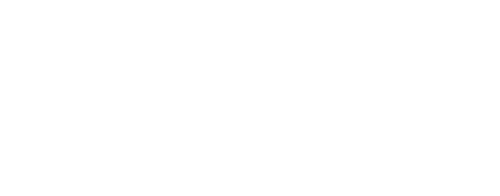 Emirates International Investment Company LLC (EIIC)